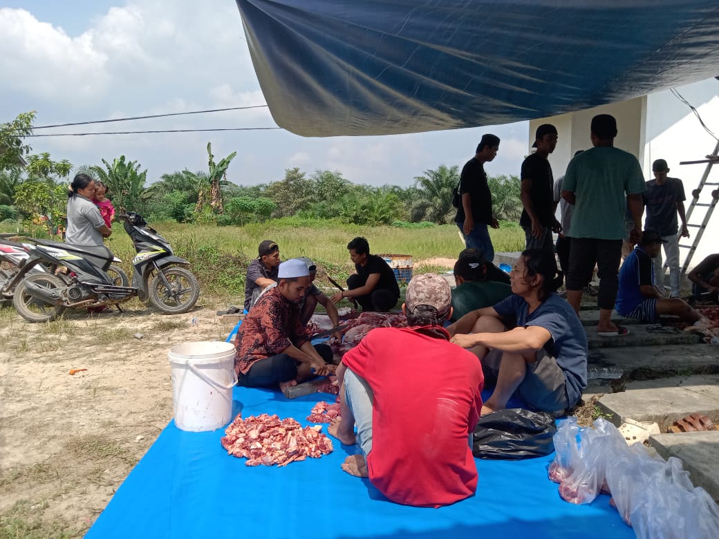 PKS PT Palma Gemilang Kencana (PGK) Qurban Sapi 2 Ekor & Kambing Satu ... PKS PT Palma Gemilang Kencana (PGK) Qurban Sapi 2 Ekor & Kambing Satu ...